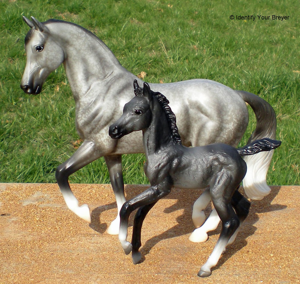 Identify Your Breyer - Warmblood Stallion